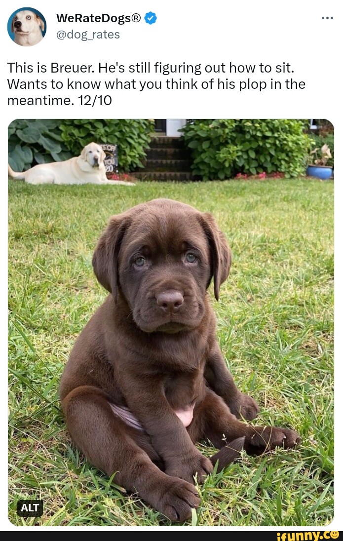 Plop memes. Best Collection of funny Plop pictures on iFunny