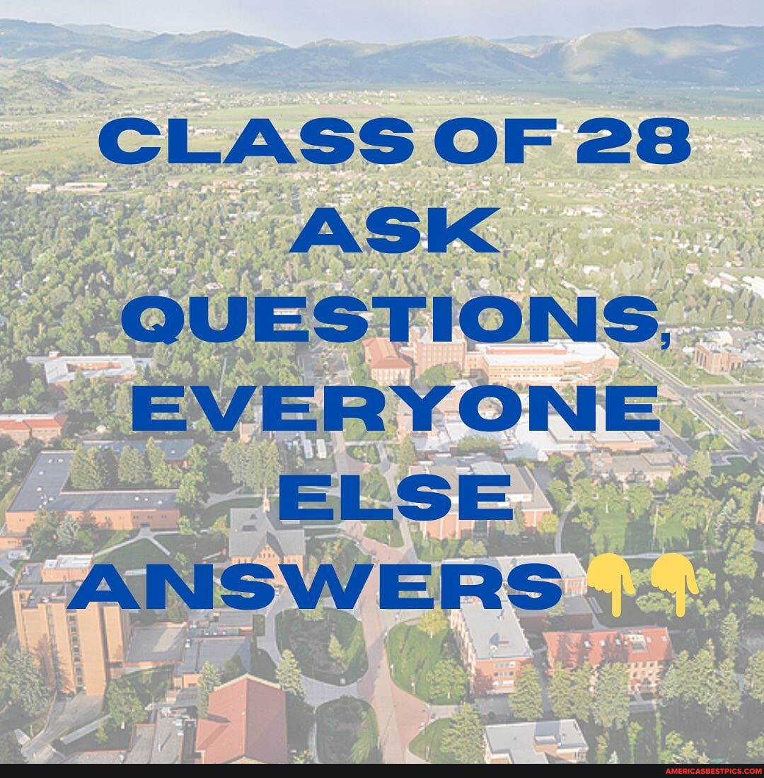 Help out the Bob-kittens! - CLASS OF 28 ASK QUESTIONS, EVERY ONE ELSE ...