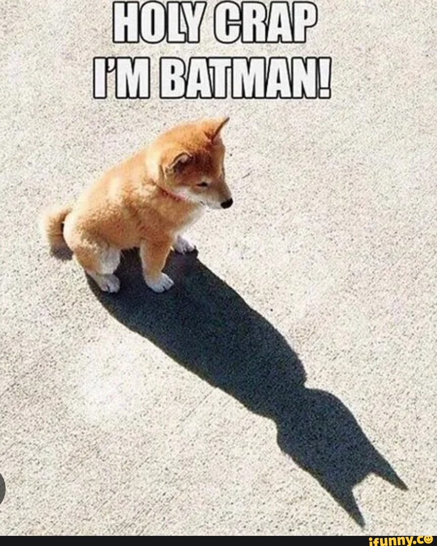 Batman memes. Best Collection of funny Batman pictures on iFunny