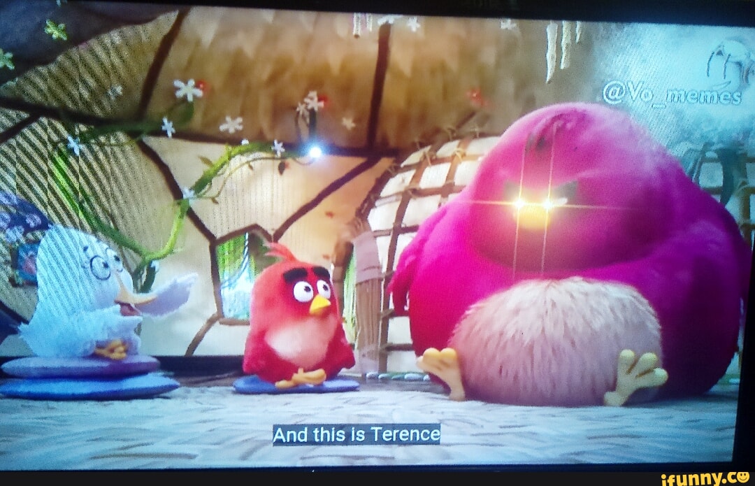Terence memes. Best Collection of funny Terence pictures on iFunny