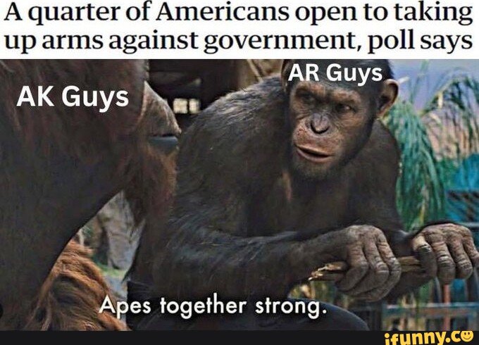 A quarter of Americans open to taking up arms against government, poll ...