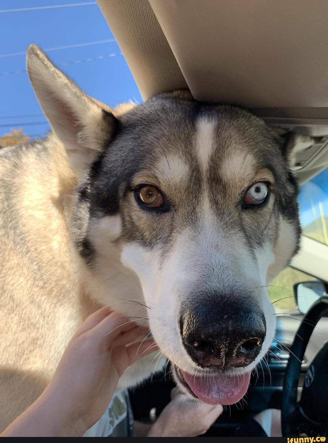 Mostphotogenic2022 memes. Best Collection of funny Mostphotogenic2022 ...