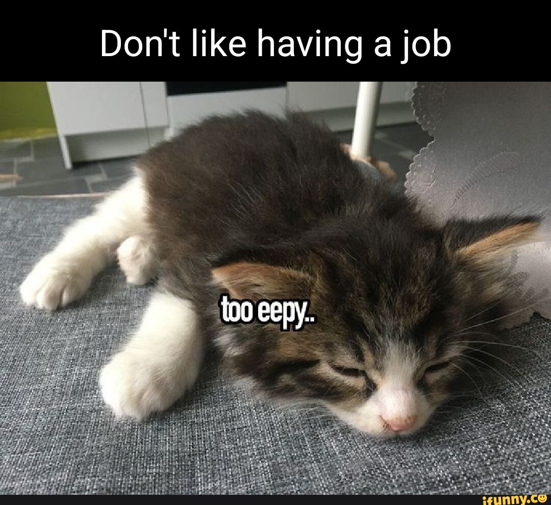 Don't like having a job - iFunny