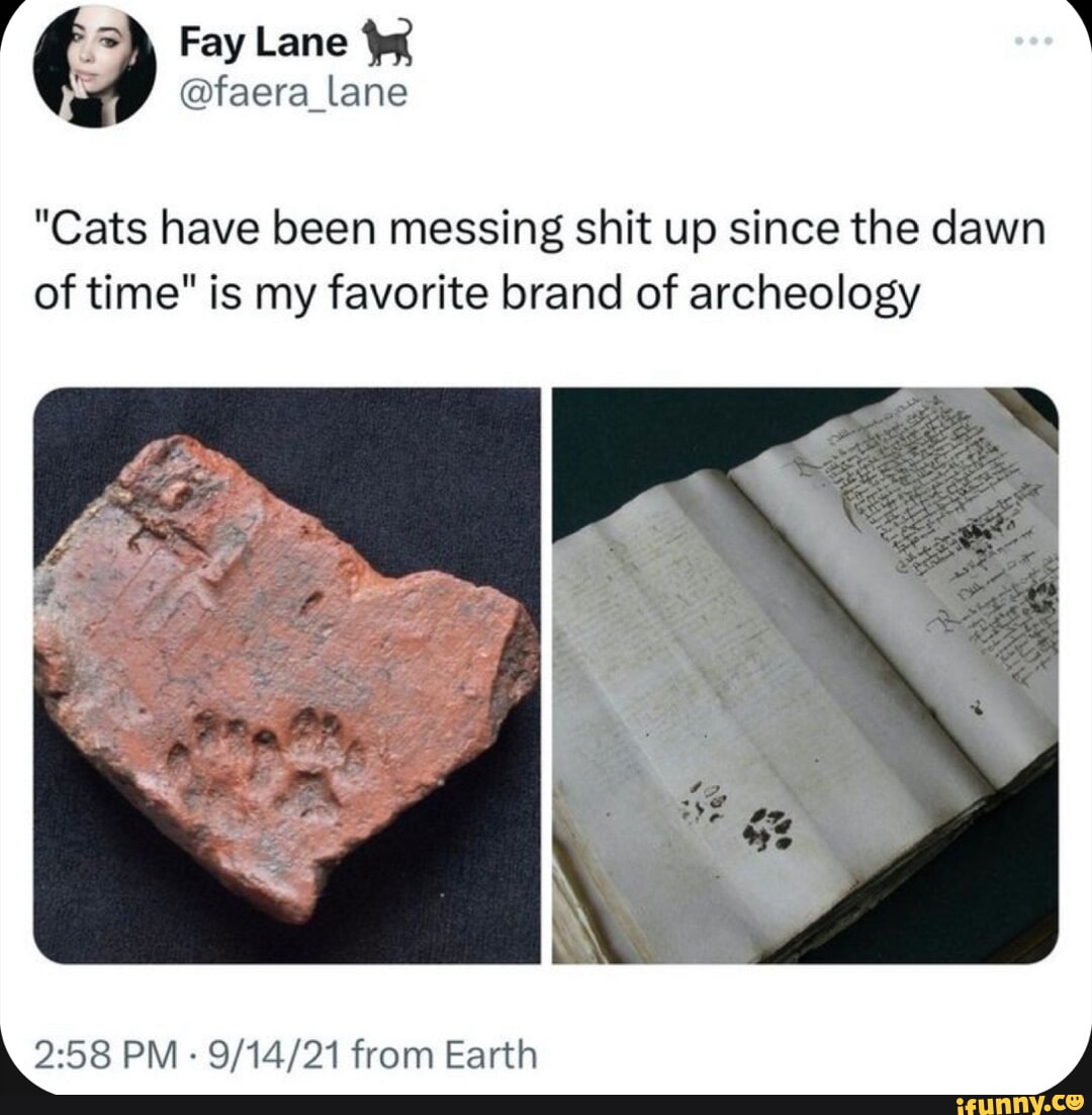 Fay memes. Best Collection of funny Fay pictures on iFunny