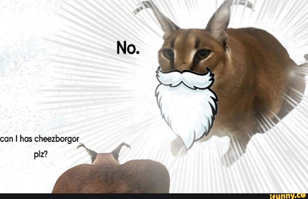 Floppa memes. Best Collection of funny Floppa pictures on iFunny