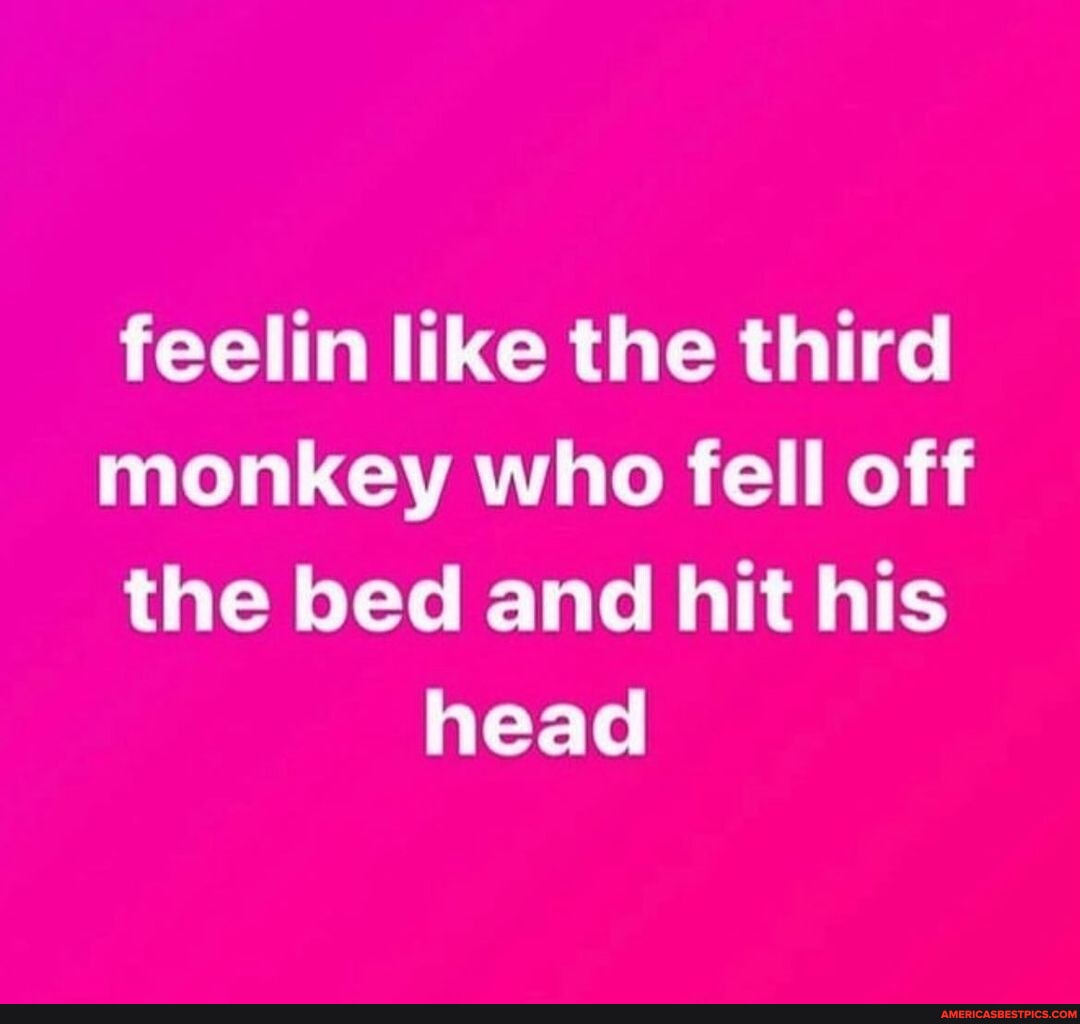 Concussion - feelin like the third monkey who fell off the bed and hit ...