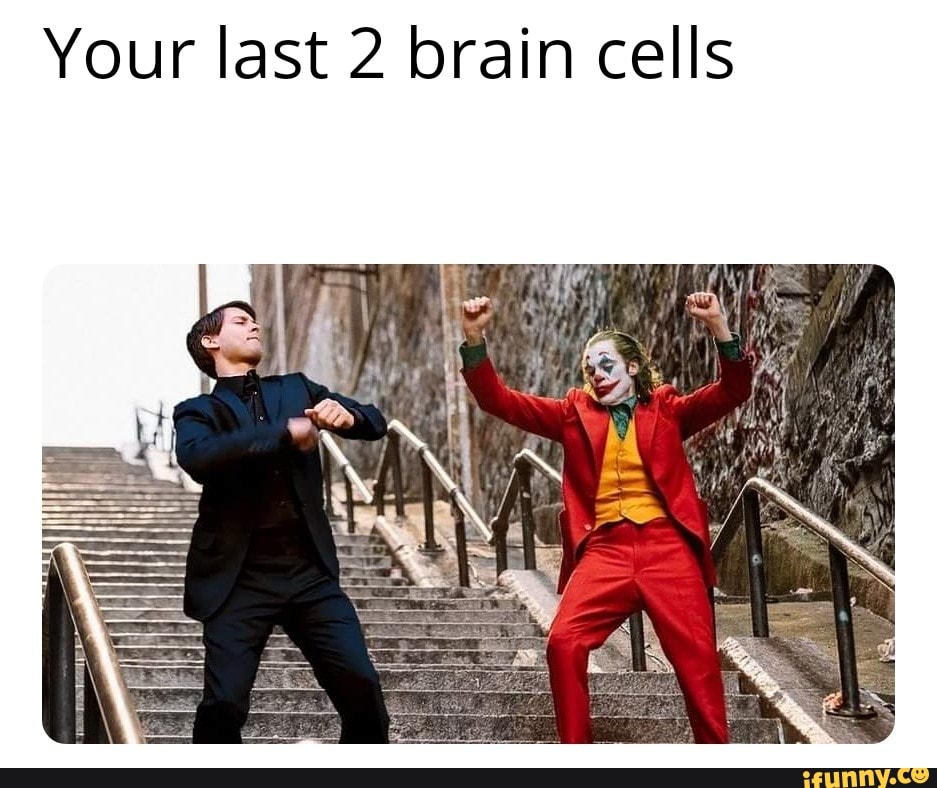 Your last 2 brain cells - iFunny