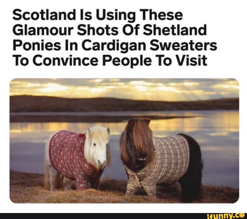 Cardigan memes. Best Collection of funny Cardigan pictures on iFunny