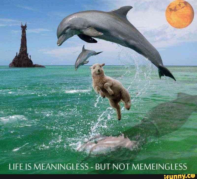 LIFE IS MEANINGLESS - BUT NOT MEMEINGLESS - iFunny