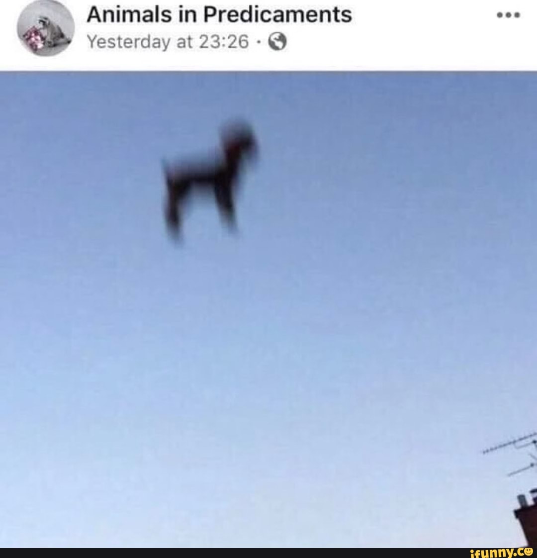 Predicaments memes. Best Collection of funny Predicaments pictures on ...