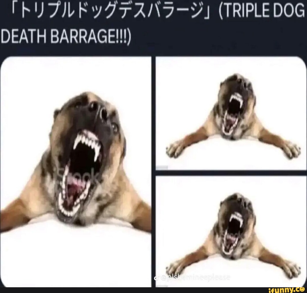 Heprobablywouldnthavegottenhisasskickedsomuch memes. Best Collection of ...