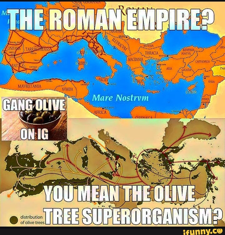 Distribution memes. Best Collection of funny Distribution pictures on ...