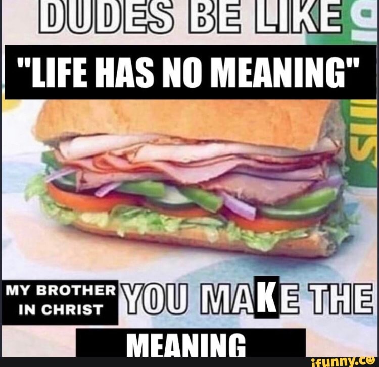 DUDES BE LIKE "LIFE HAS NO MEANING" BROTHER IN CHRIST my COU MAKE THE ...