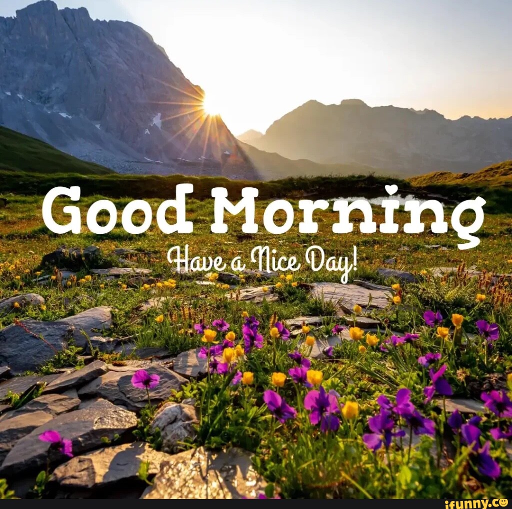 Good Morning Have Nice Day)! - iFunny Good Morning Have Nice Day)! - iFunny