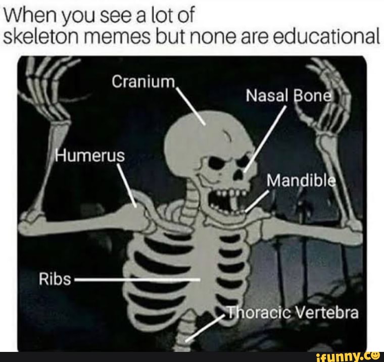 When you see lot of skeleton memes but none are educational Cranium SS ...