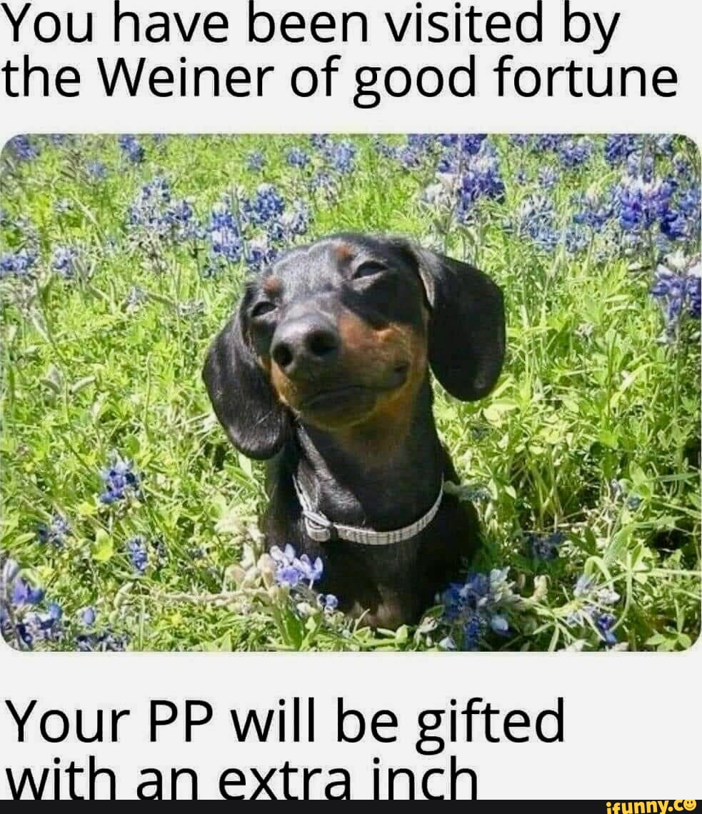 Inch memes. Best Collection of funny Inch pictures on iFunny