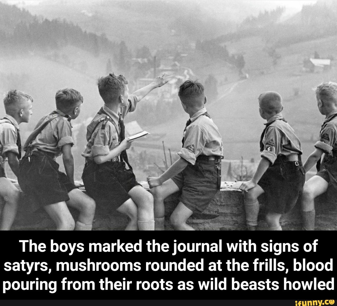 Satyrs memes. Best Collection of funny Satyrs pictures on iFunny