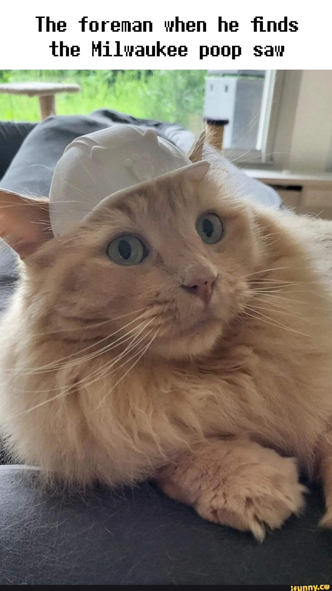 Foreman memes. Best Collection of funny Foreman pictures on iFunny