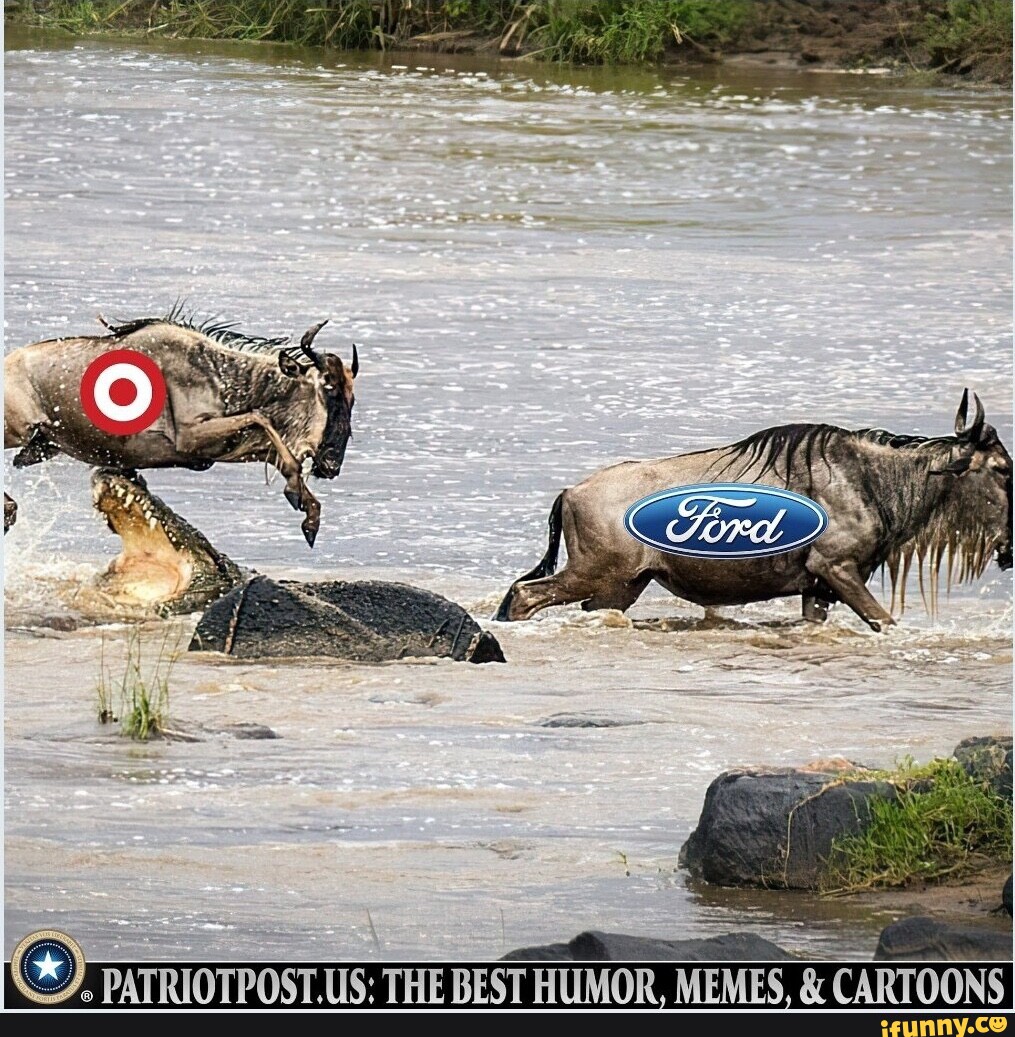 US; THE BEST HUMOR, MEMES, & CARTOONS - iFunny