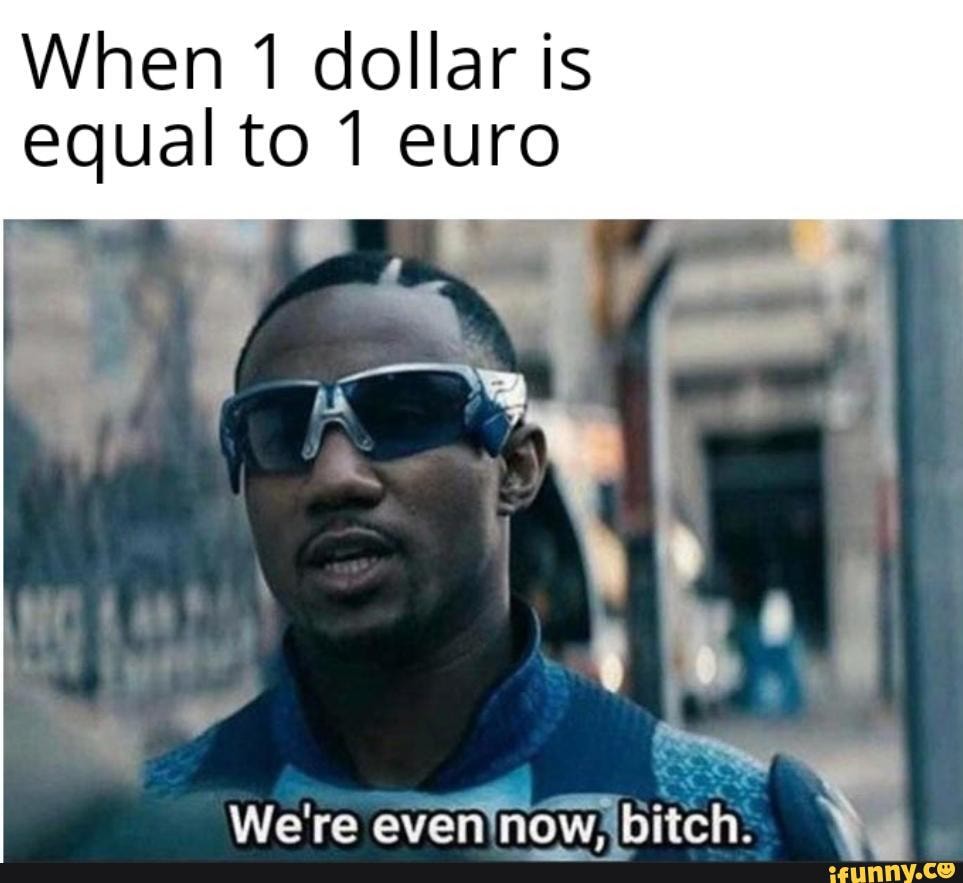 When 1 dollar is equal to 1 euro We're bitch. - iFunny