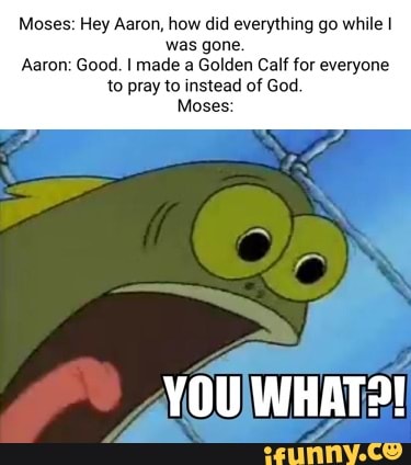 Moses: Hey Aaron, how did everything go while I was gone. Aaron: Good ...