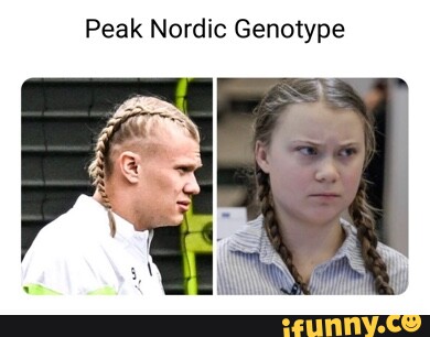 Genotype memes. Best Collection of funny Genotype pictures on iFunny