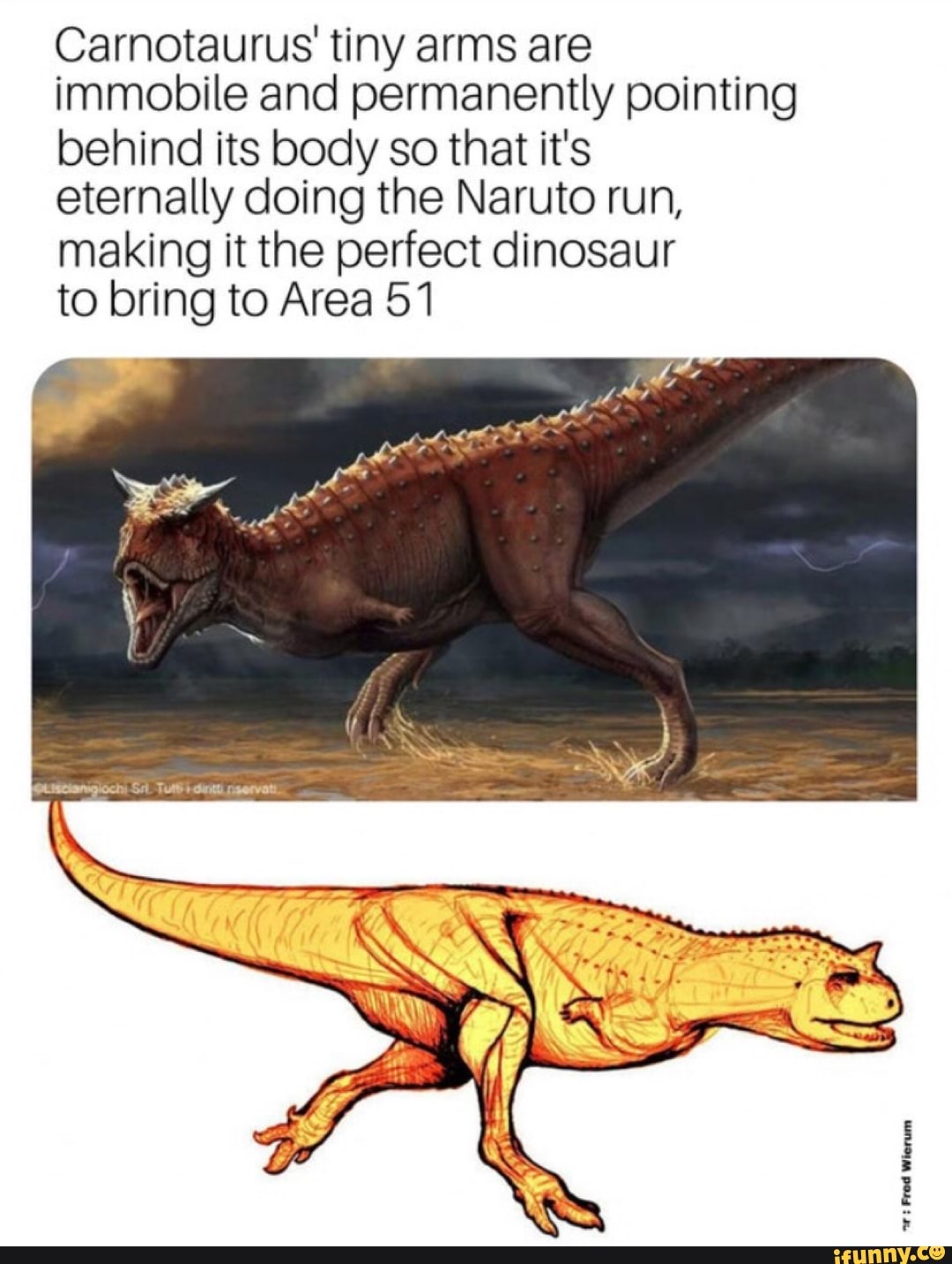 Carnotaurus‘ tiny arms are immobile and permanently pointing behind its ...