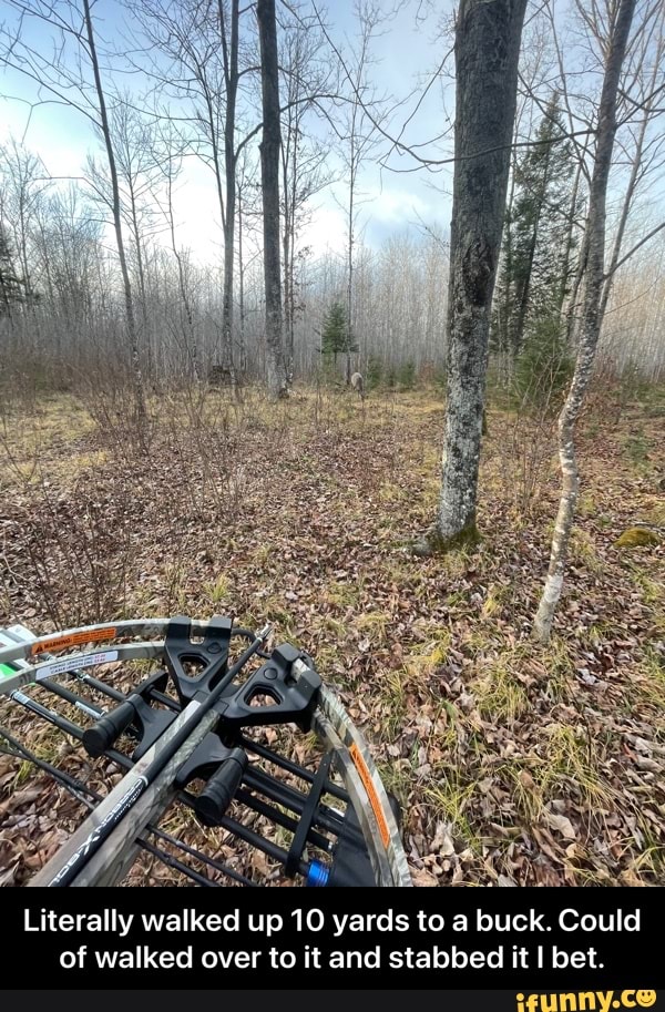 Upnorth memes. Best Collection of funny Upnorth pictures on iFunny