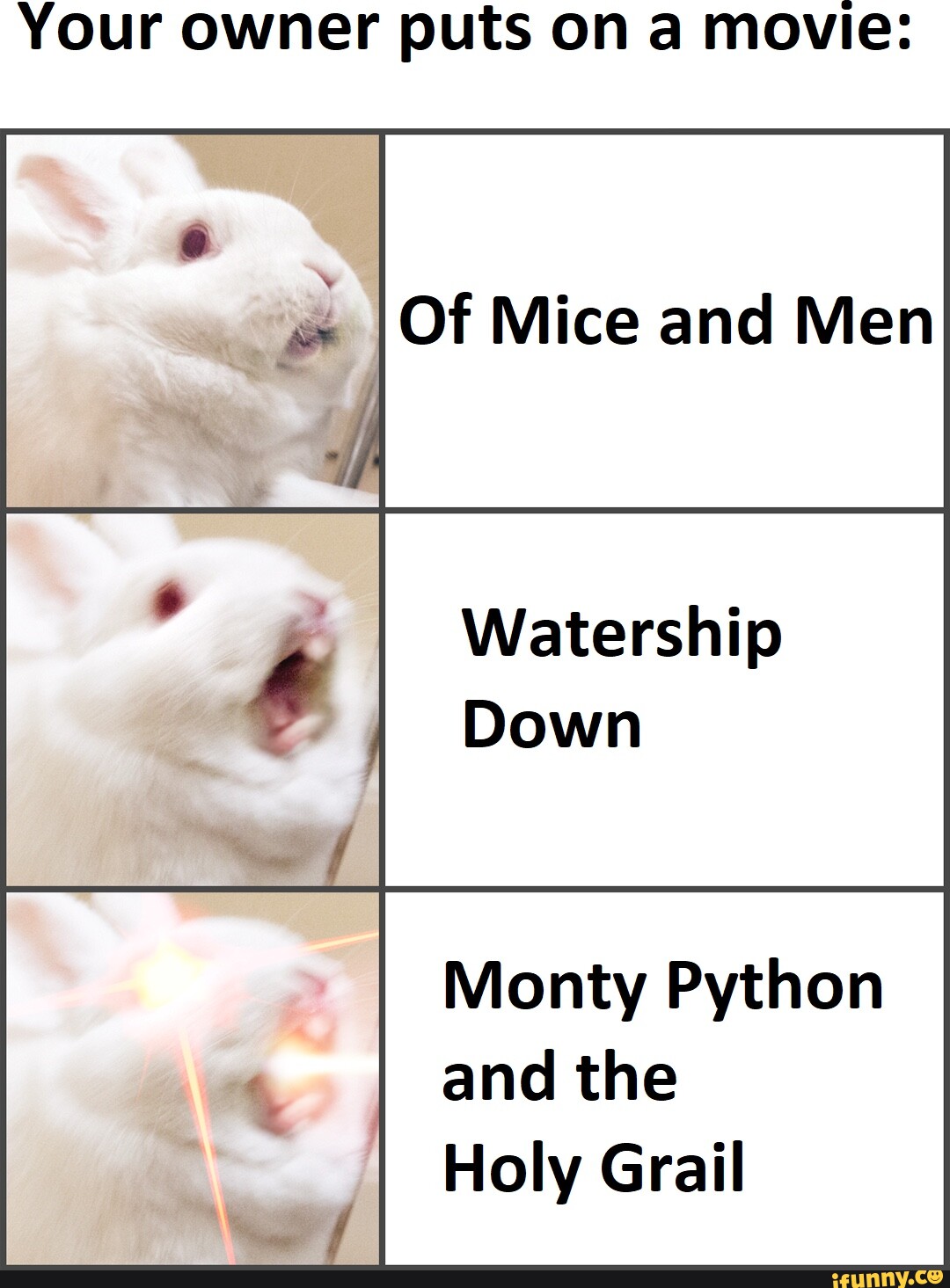 Your owner puts on a movie: Of Mice and Men Watership Down Monty Python ...