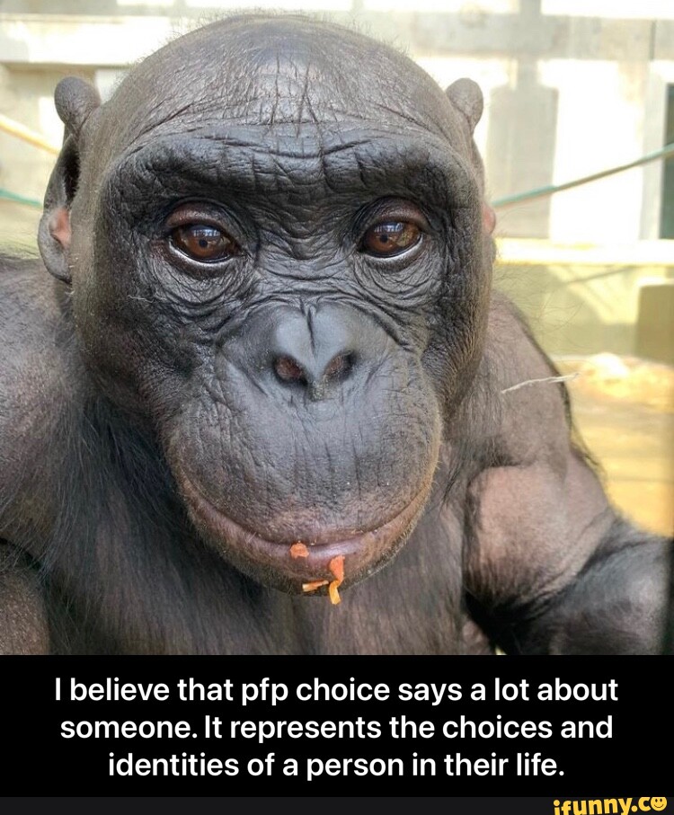 I believe that pfp choice says a lot about someone. It represents the ...