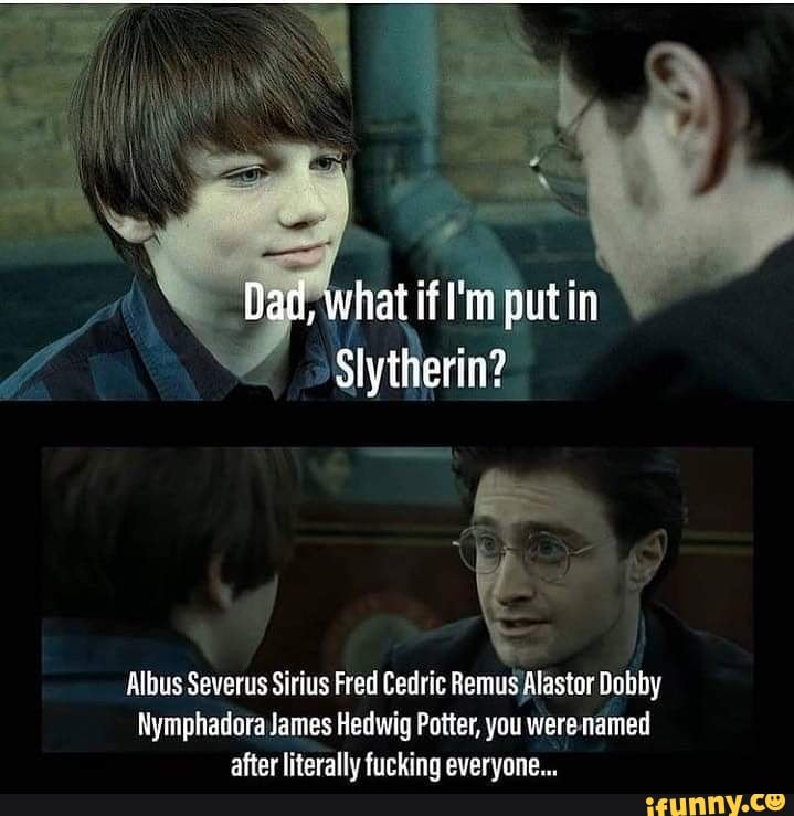 Hedwig memes. Best Collection of funny Hedwig pictures on iFunny