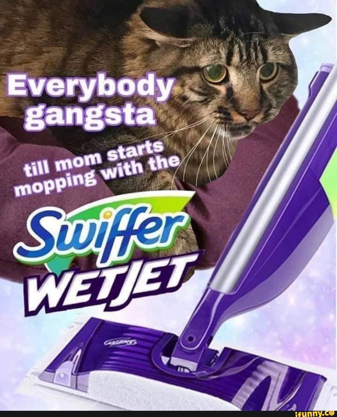 Swiffer memes. Best Collection of funny Swiffer pictures on iFunny
