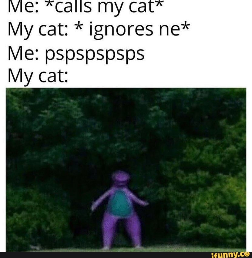 Vle: *CallS My Ca My cat: * ignores ne* Me: pspspspsps My cat: - iFunny