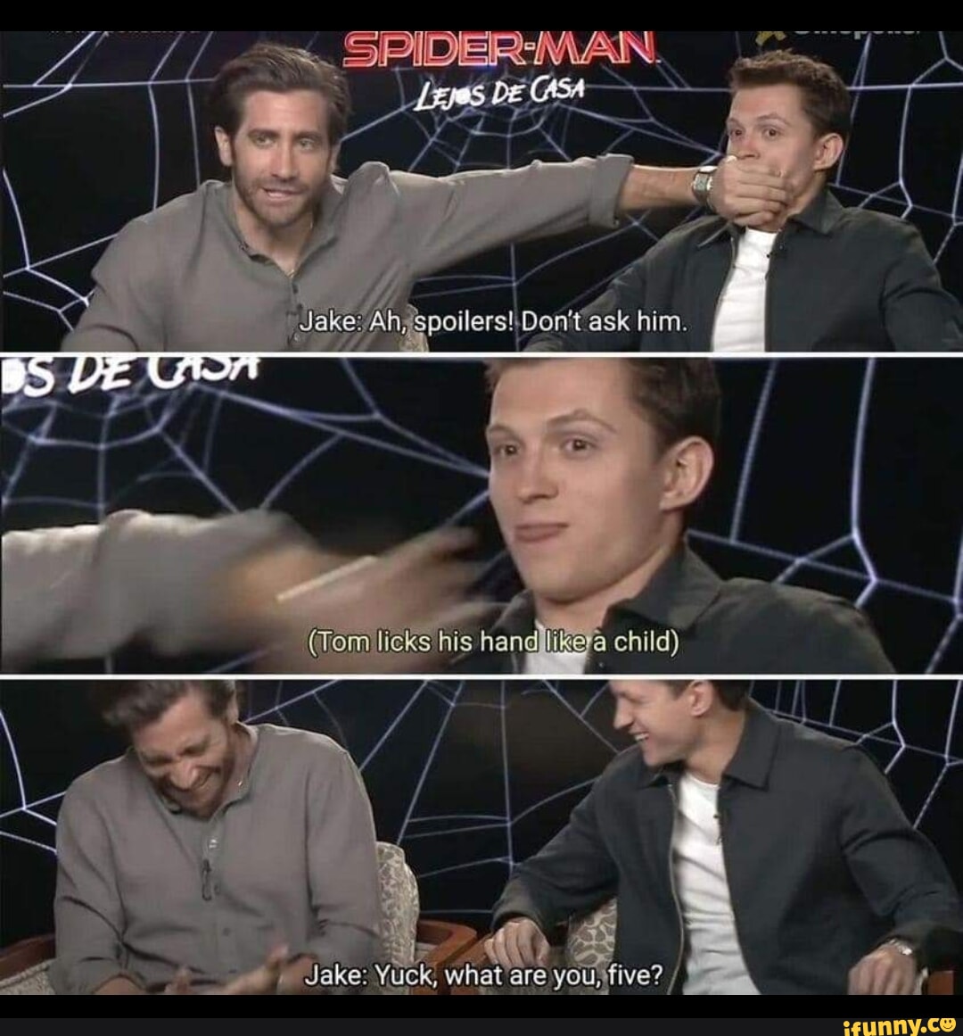 TikTok taylor.shear after the bar, are you doing? - iFunny