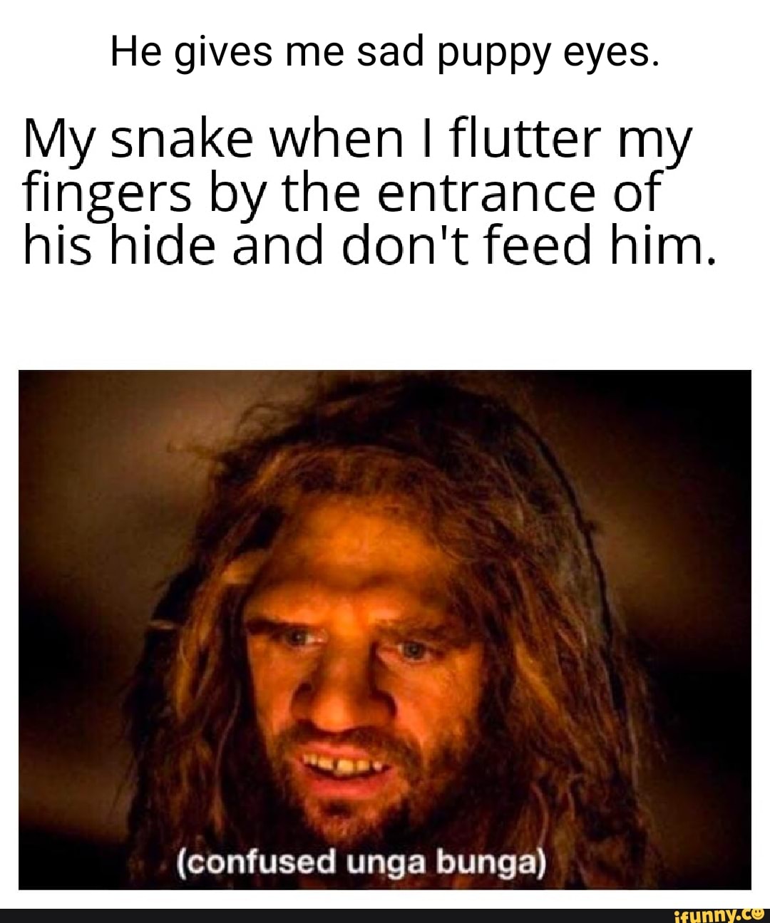 Flutter memes. Best Collection of funny Flutter pictures on iFunny
