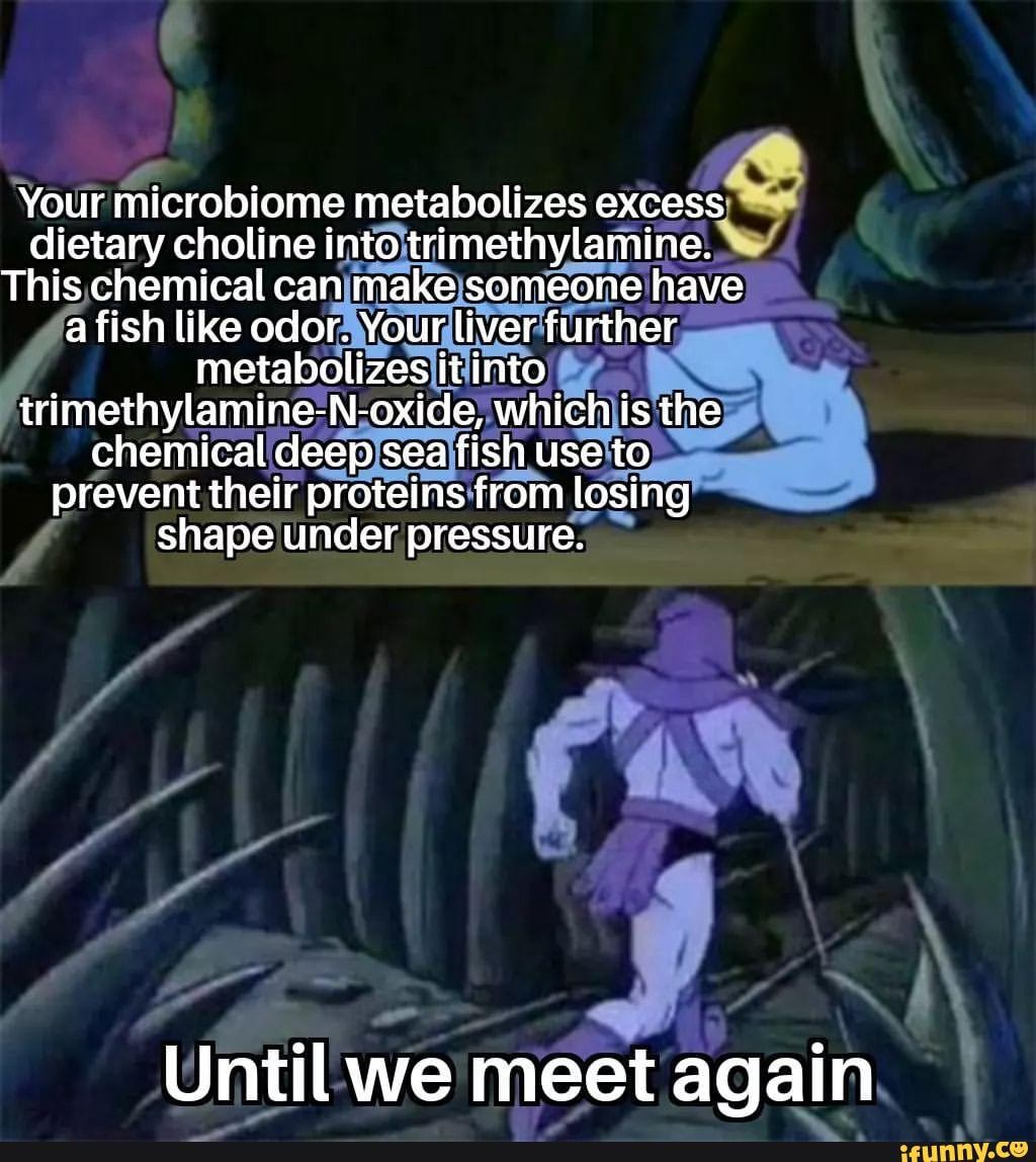 Your microbiome metabolizes excess dietary choline into trimethylamine ...