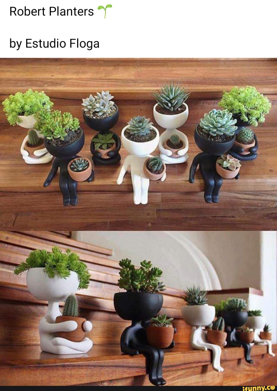 Planters memes. Best Collection of funny Planters pictures on iFunny