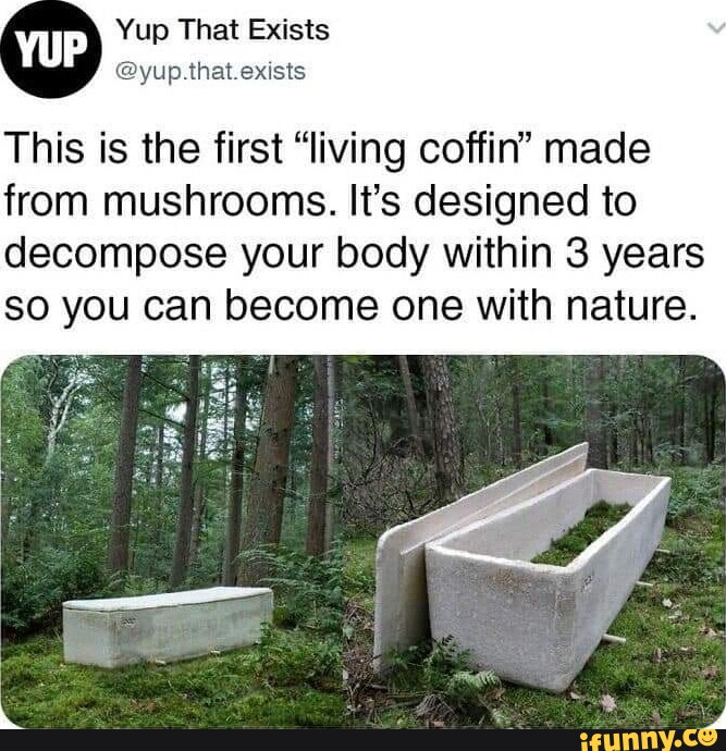 Yup That Exists "yup that exusts This is the first "living coffin' made ...