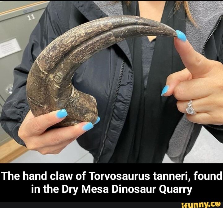 Torvosaurus memes. Best Collection of funny Torvosaurus pictures on iFunny