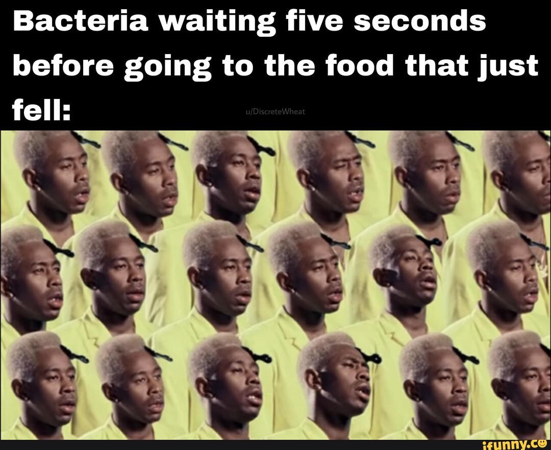 Bacteria waiting five seconds before going to the food that just fell ...