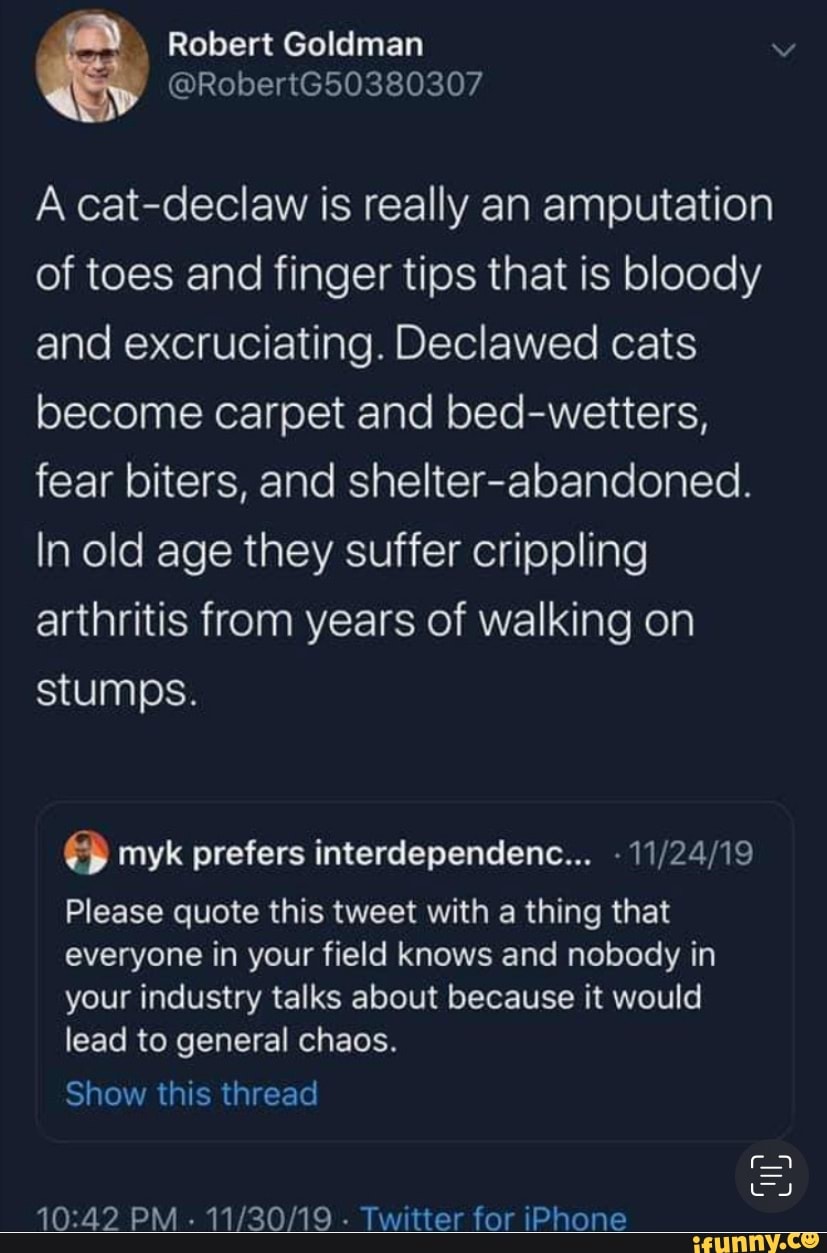 Wetters memes. Best Collection of funny Wetters pictures on iFunny