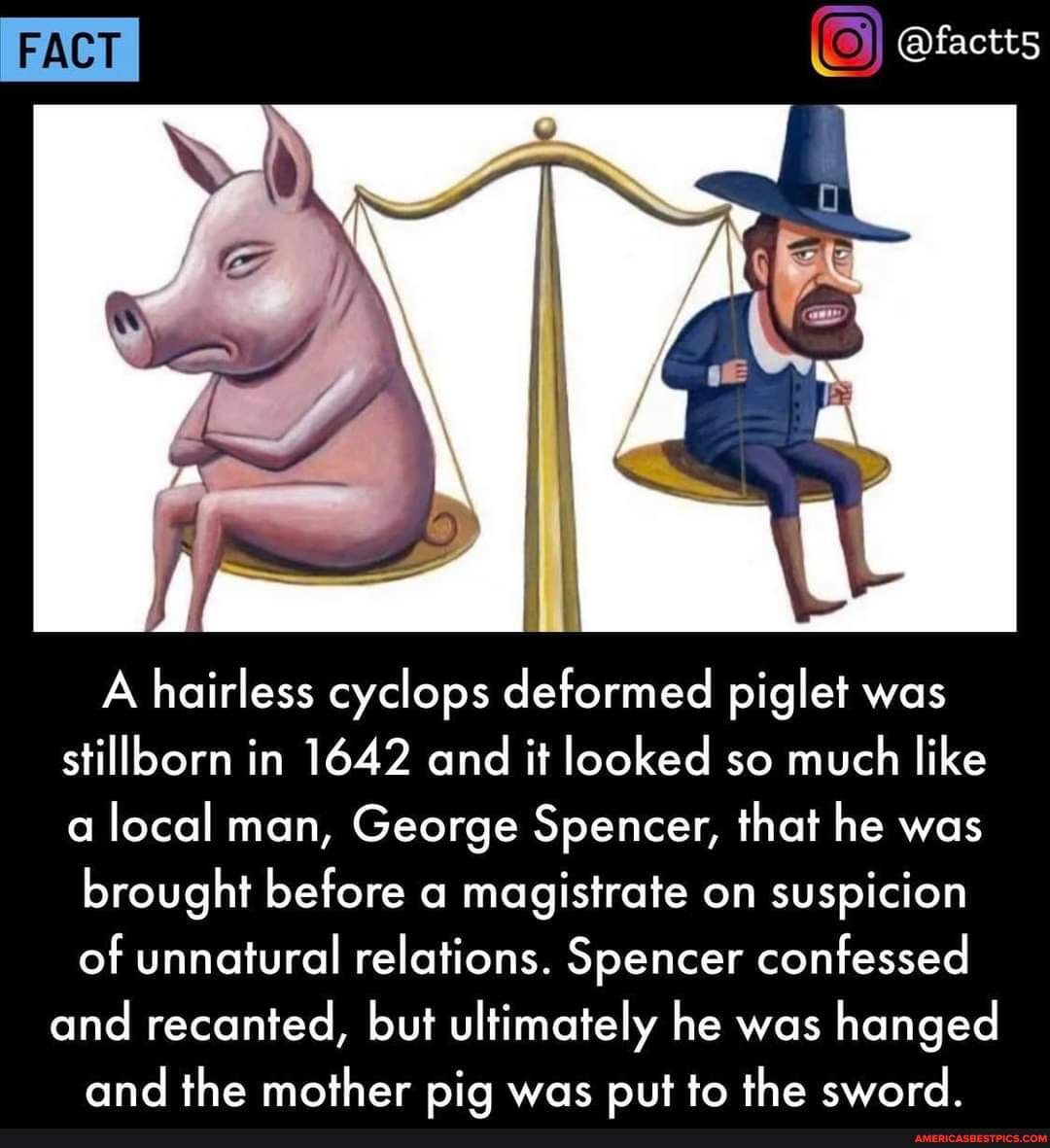 FACT @factts A hairless cyclops deformed piglet was stillborn in 1642 ...