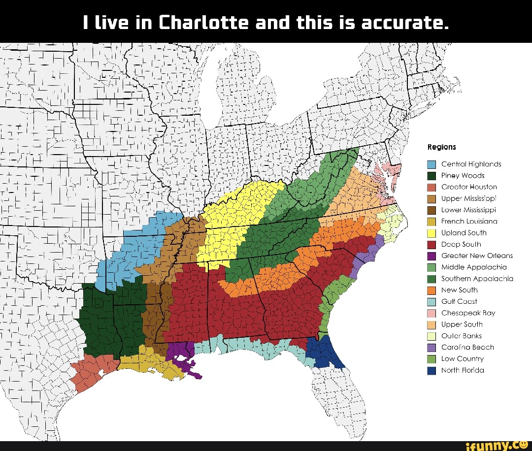 Piney memes. Best Collection of funny Piney pictures on iFunny