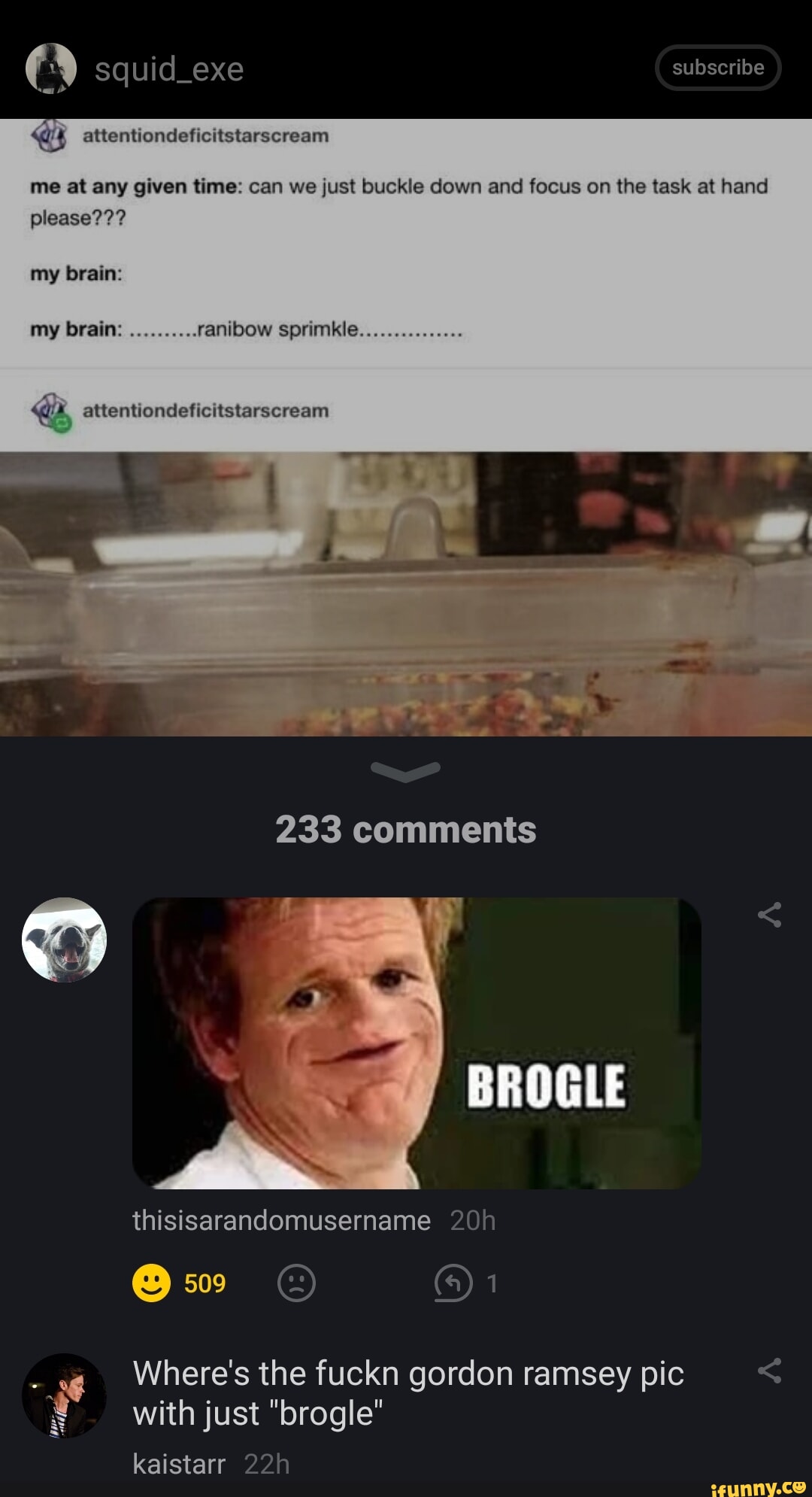 Brogle memes. Best Collection of funny Brogle pictures on iFunny