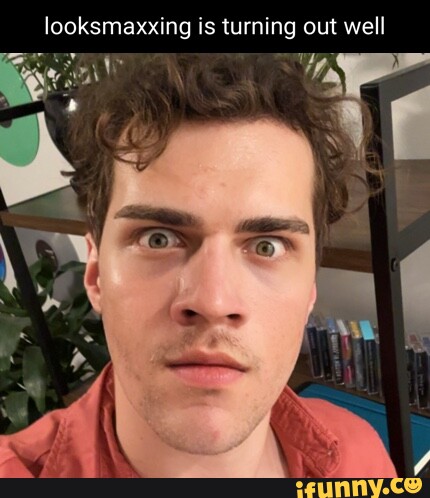 Looksmaxxing memes. Best Collection of funny Looksmaxxing pictures on ...