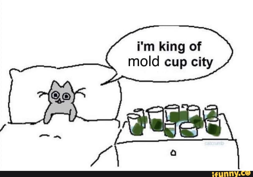 Mold memes. Best Collection of funny Mold pictures on iFunny
