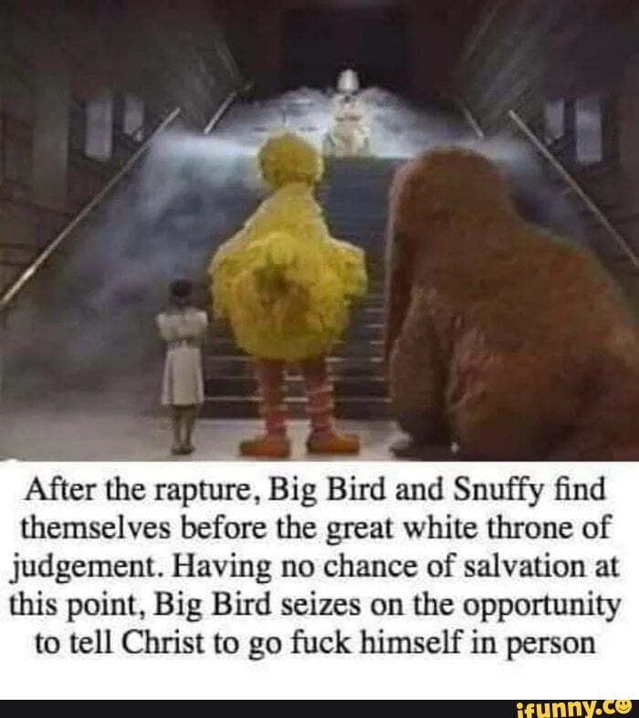 Big_bird memes. Best Collection of funny Big_bird pictures on iFunny