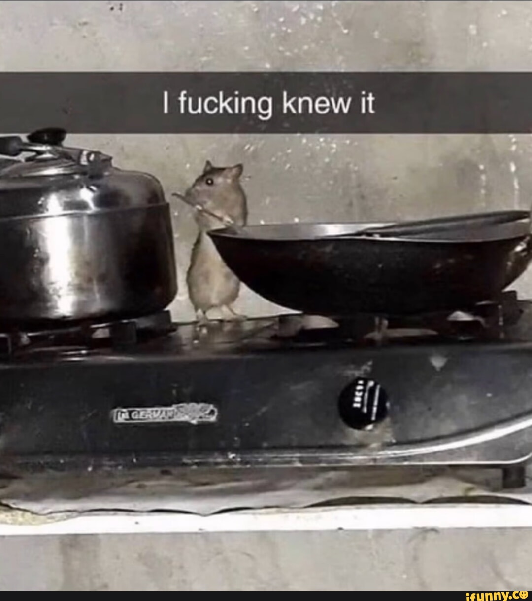 Cultured Weeb: You should read 228922 and 177013 New Weeb: Okay! New ...