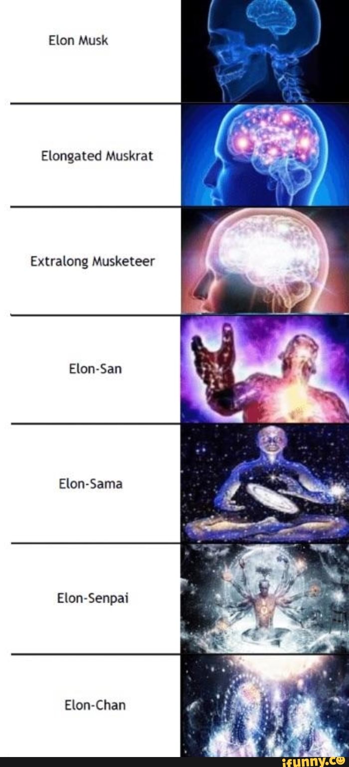 Elon Musk Elongated Muskrat - iFunny