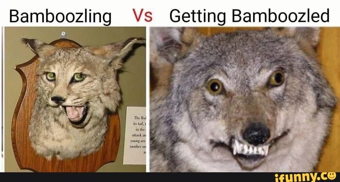 Bamboozling Vs Getting Bamboozled - iFunny